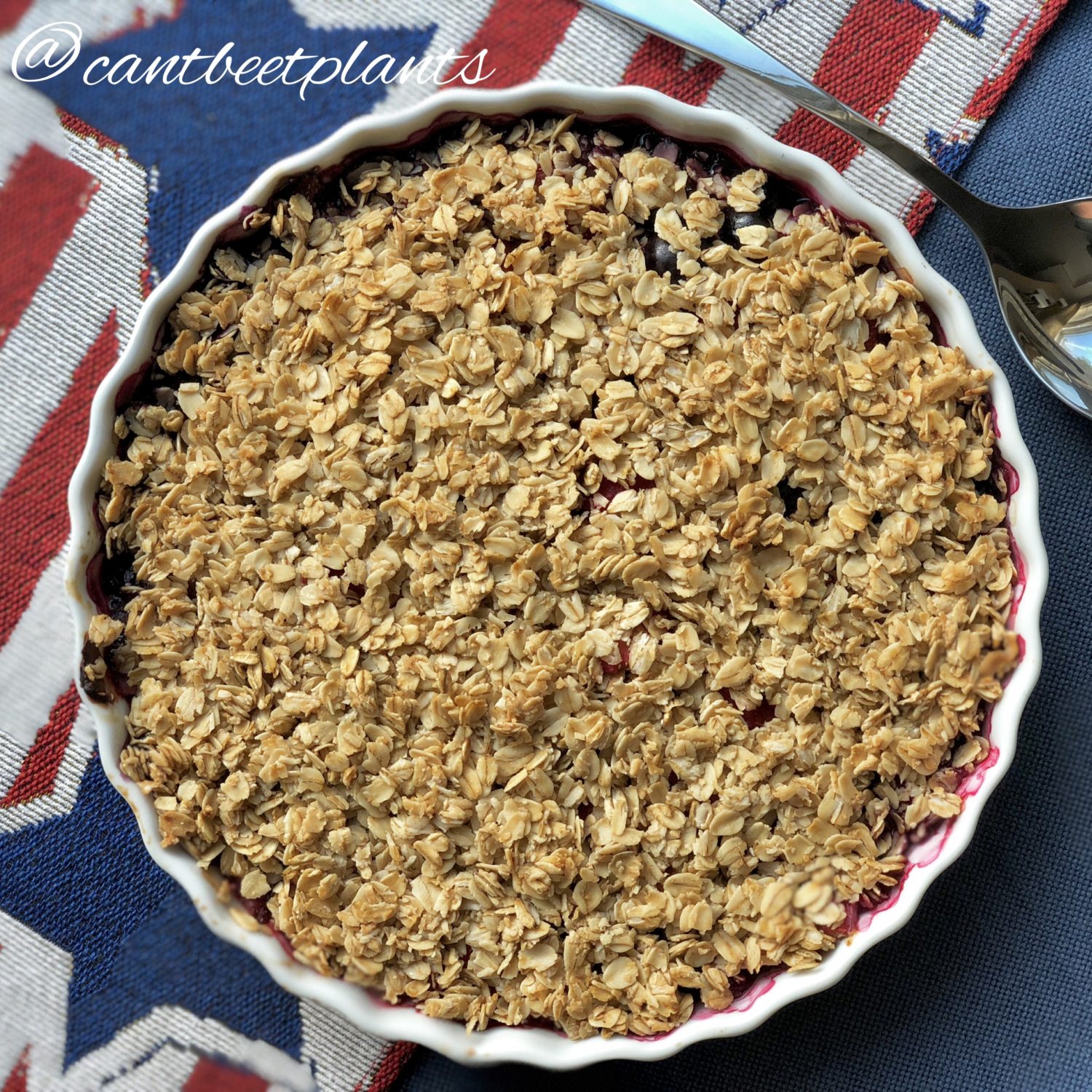 Berry Crumble – Cant Beet Plants
