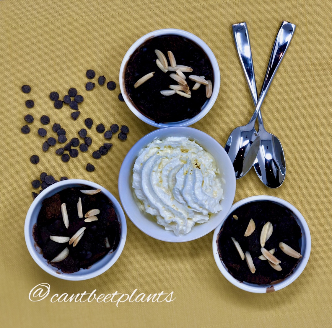 Chocolate Bread Pudding – Cant Beet Plants