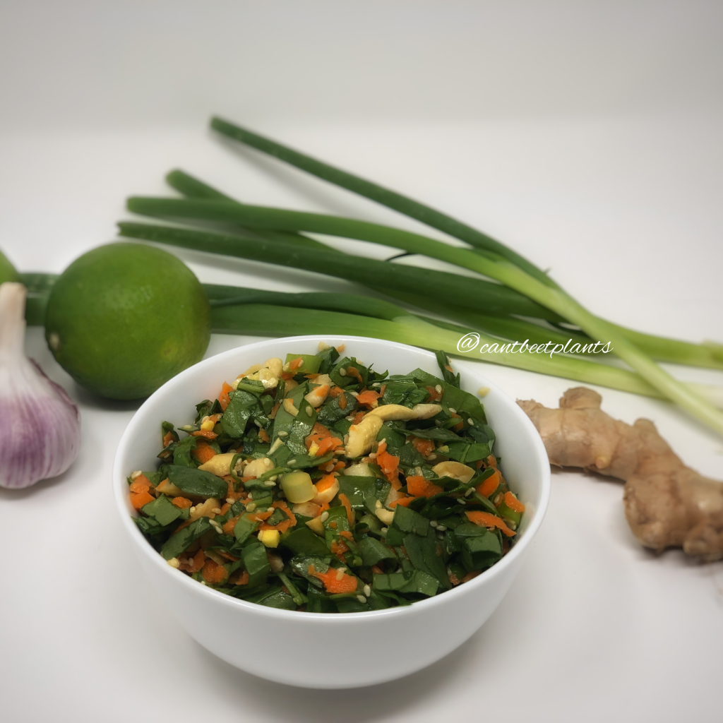 Asian Spinach Salad – Cant Beet Plants